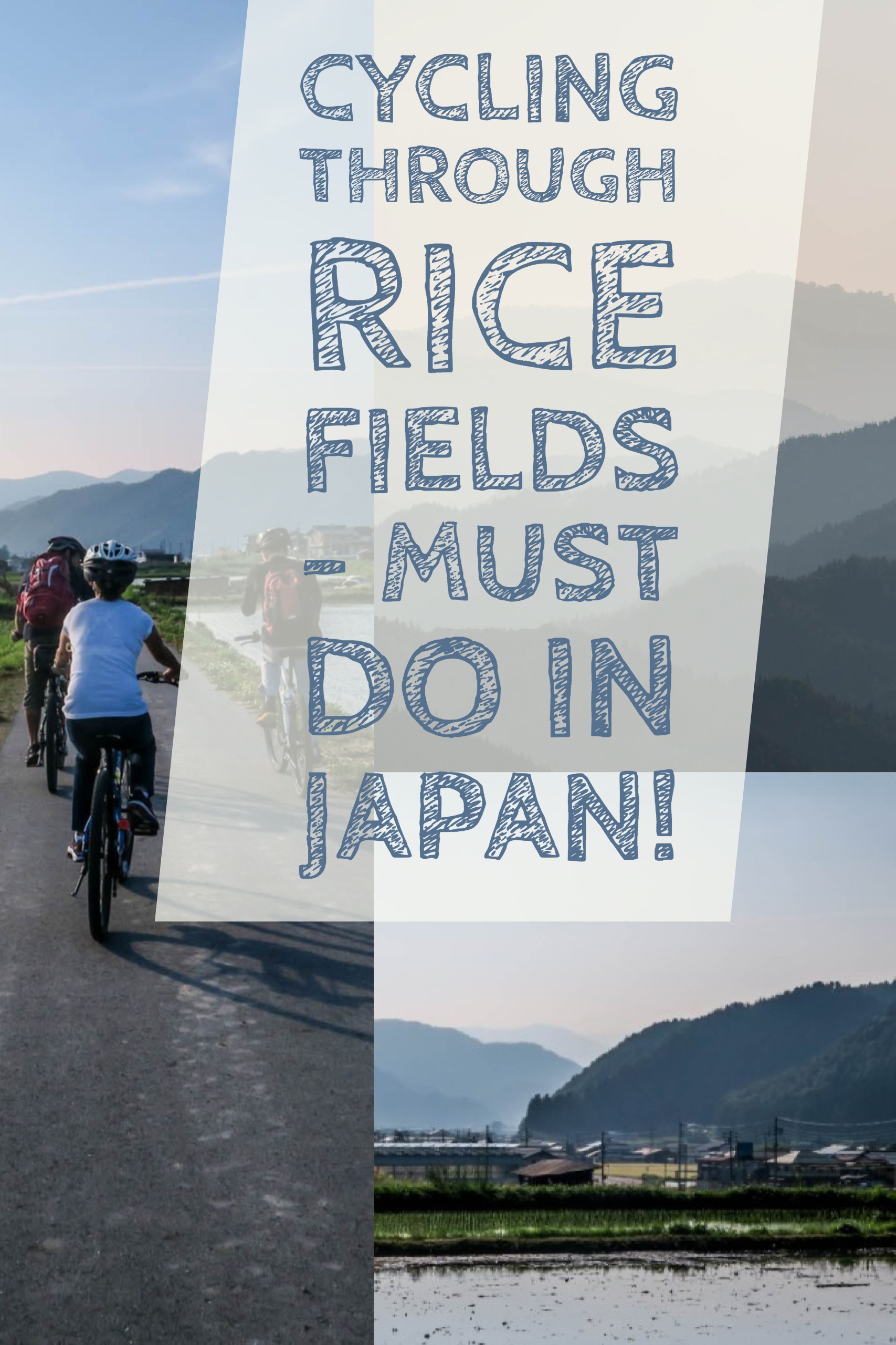 Cycling through rice fields - must do in Japan! - a matter of taste