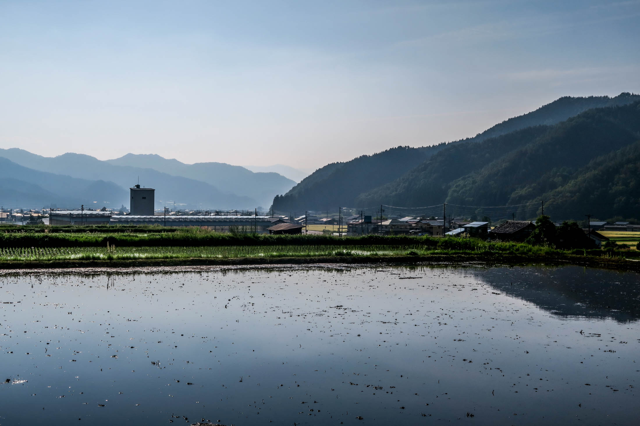 Cycling through rice fields - must do in Japan! - a matter of taste