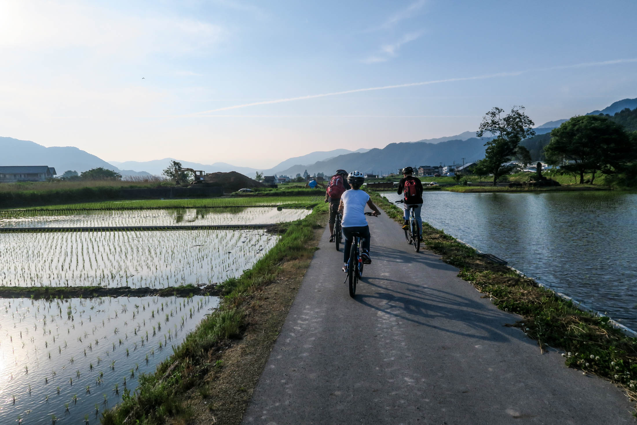 Cycling through rice fields - must do in Japan! - a matter of taste
