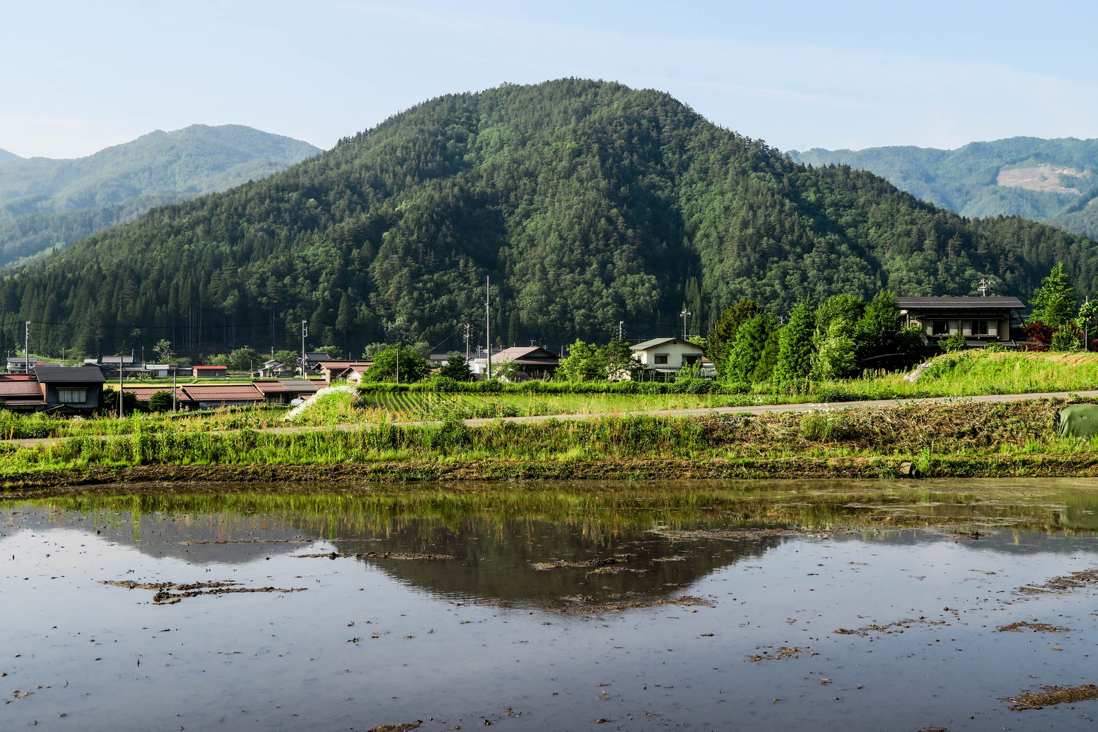 Cycling through rice fields - must do in Japan! - a matter of taste